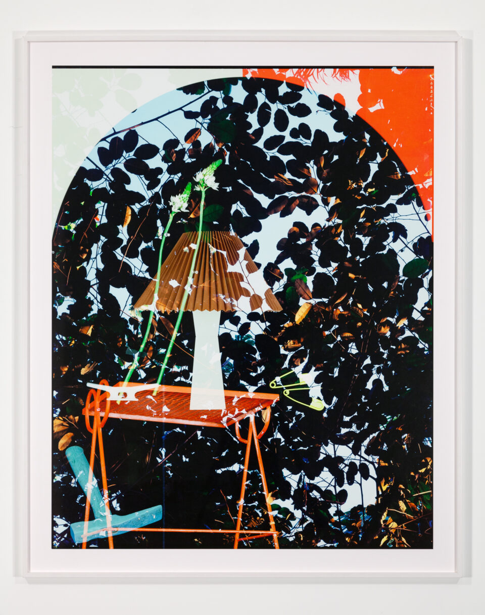 Xippas | Matthew Porter