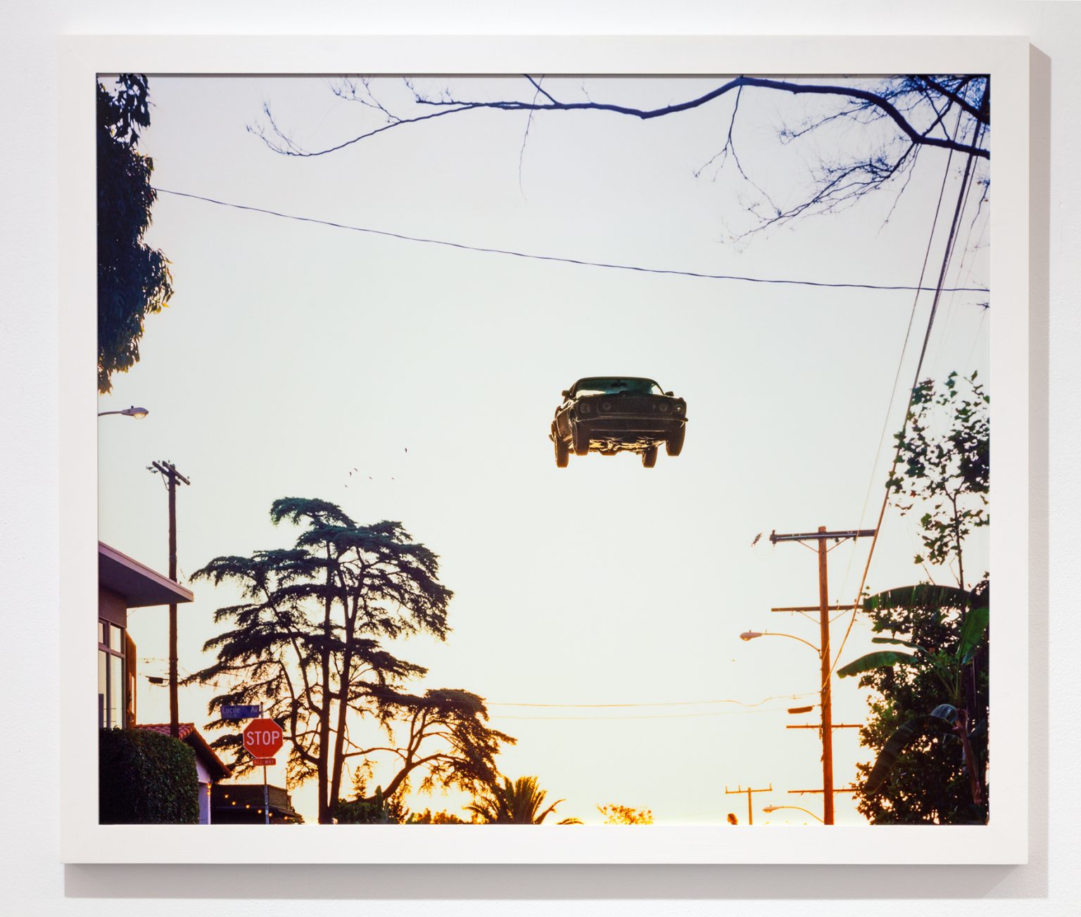 Xippas | Matthew Porter