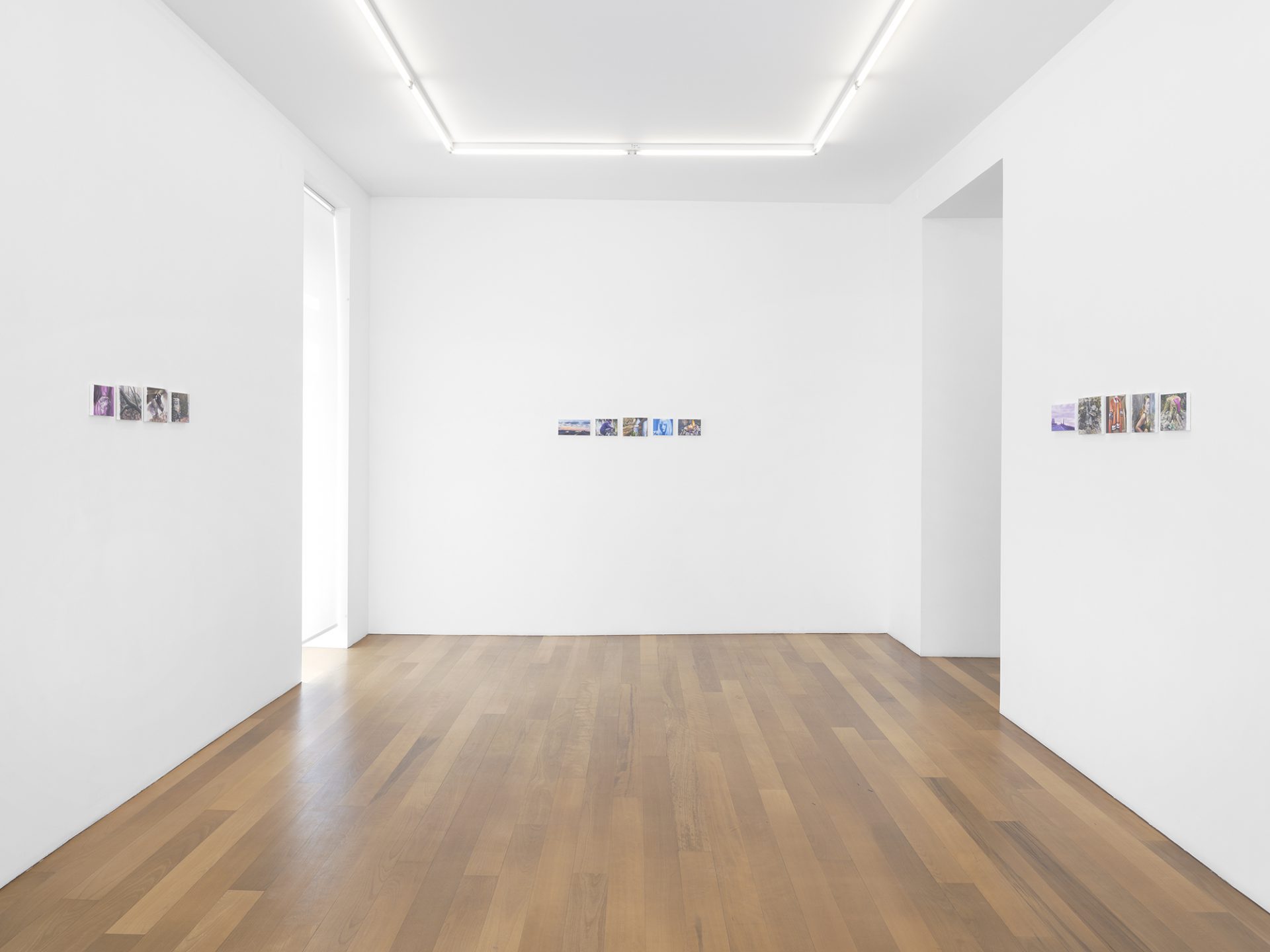 Xippas | Robert Devriendt – The Missing Script 4. Exit Highway