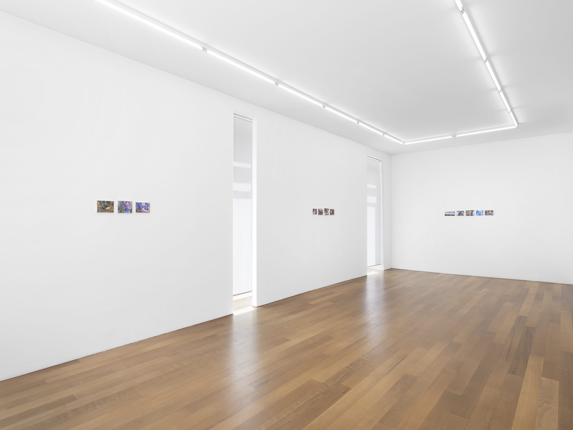 Xippas | Robert Devriendt – The Missing Script 4. Exit Highway