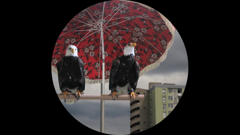 Xippas | Bertille Bak