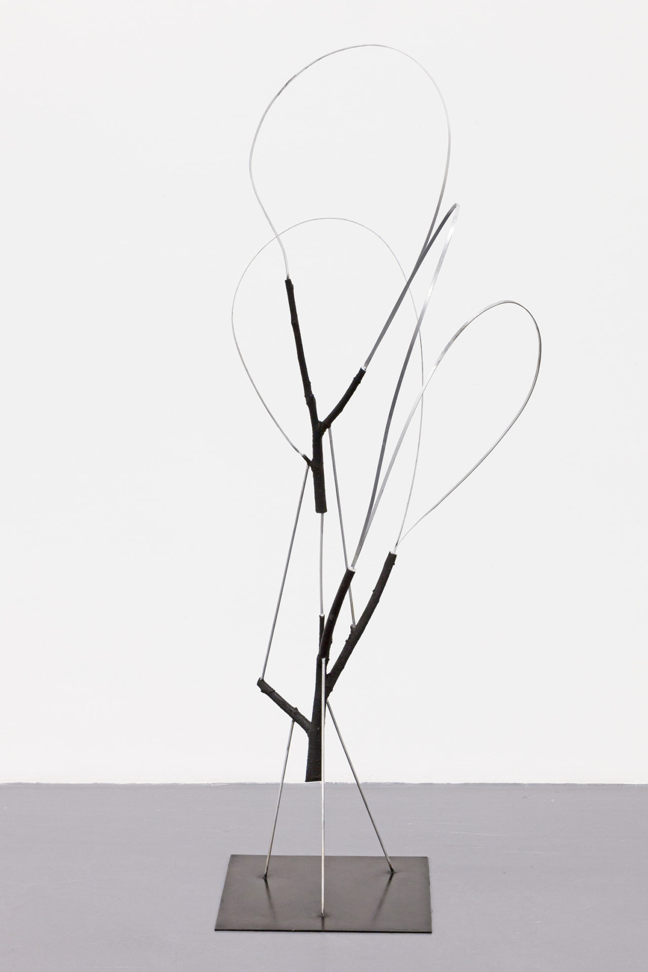 Xippas | Pablo Reinoso