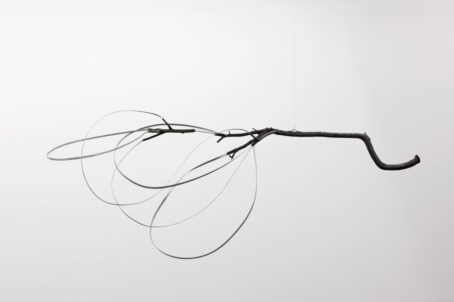 Xippas | Pablo Reinoso