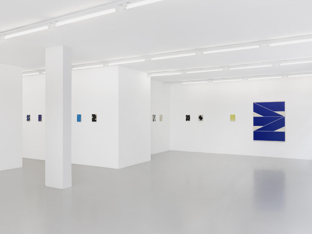 Xippas | Alain Biltereyst – Hidden in Plain Sight