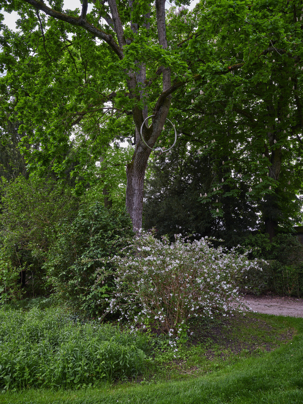 Xippas | Philippe Ramette : Fontainebleau