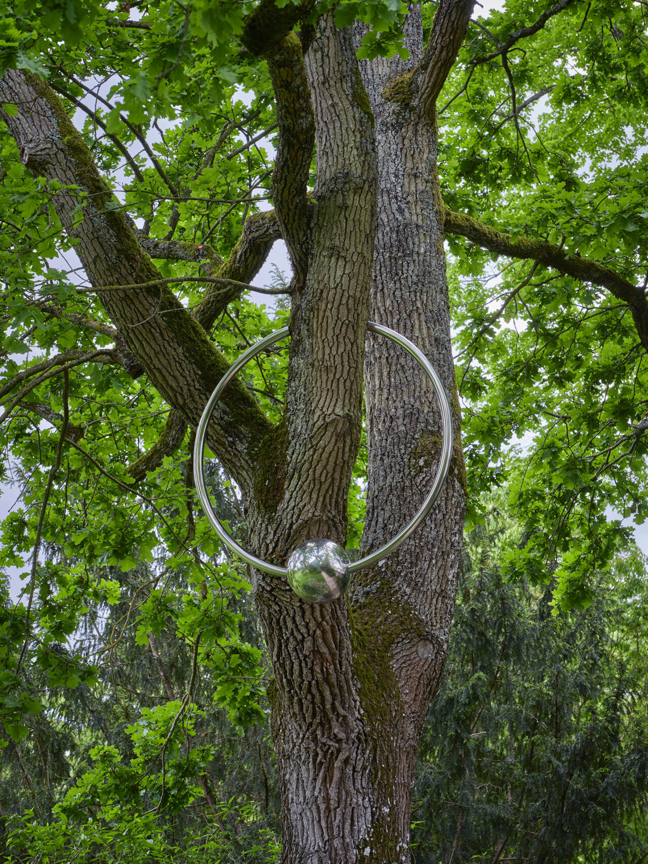 Xippas | Philippe Ramette : Fontainebleau