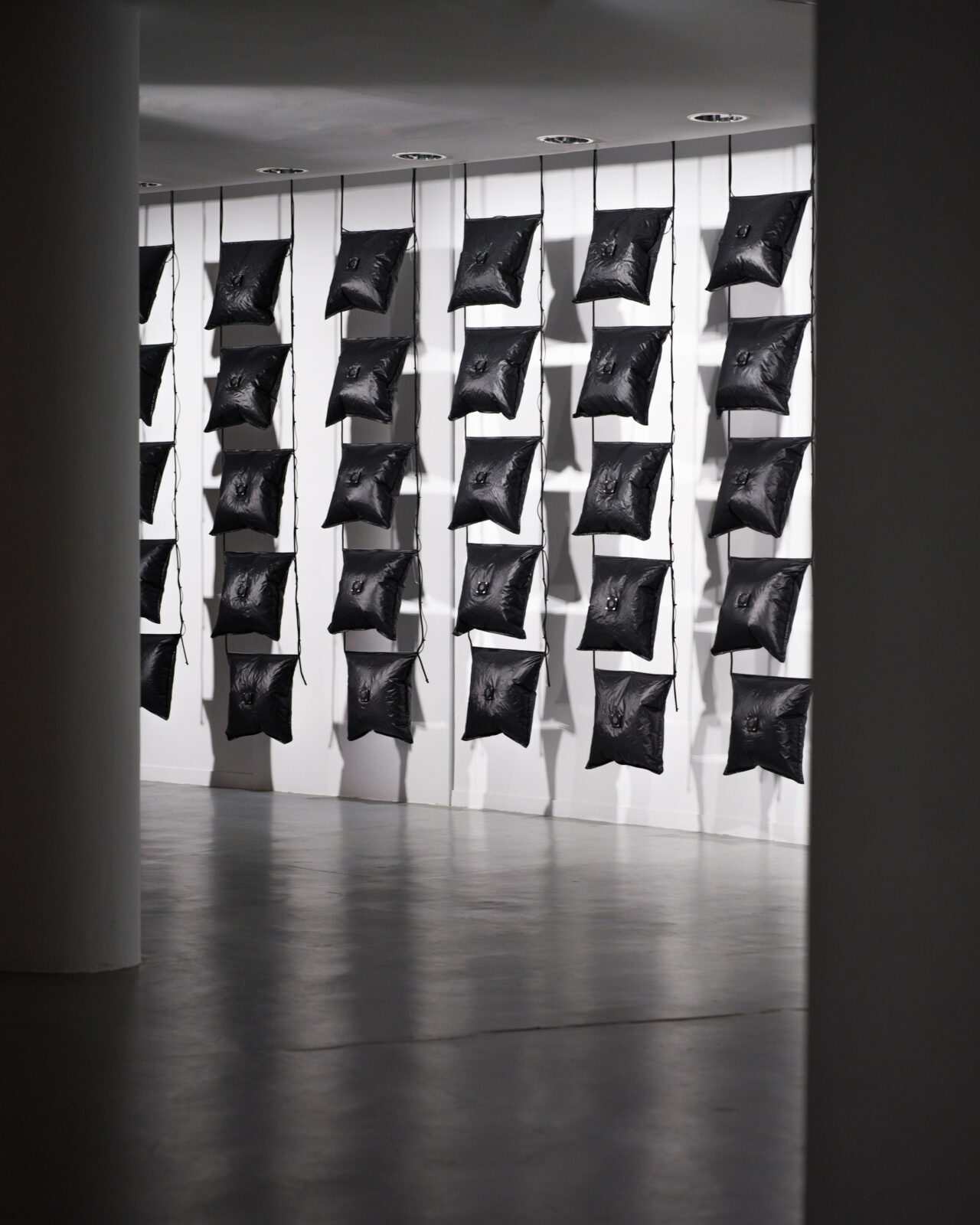 Xippas | Pablo Reinoso’s solo show “Las lineas de la vida” at MEIAC