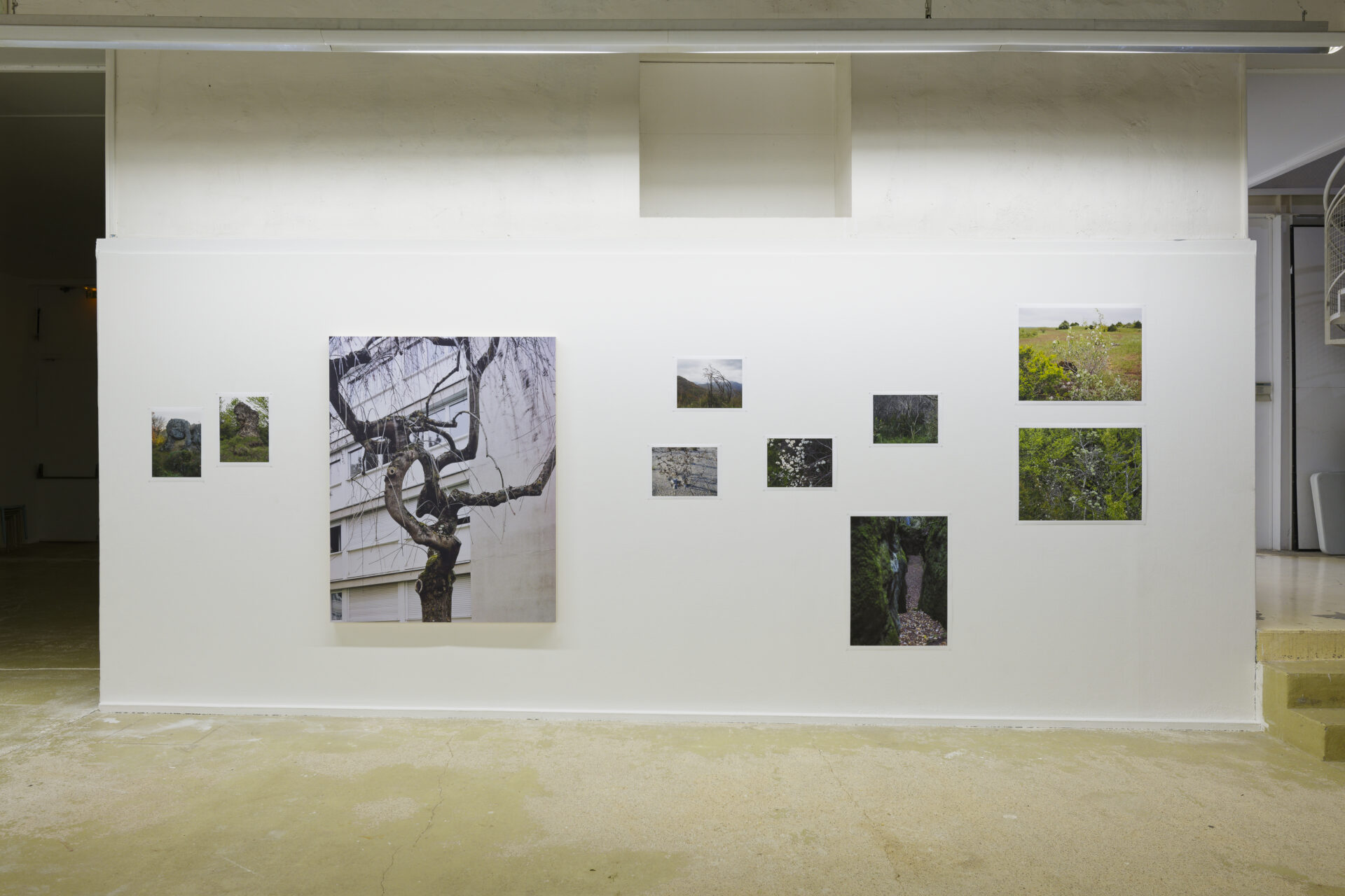 Xippas | Valérie Jouve’s exhibition “Le monde est un abri” at CPIF