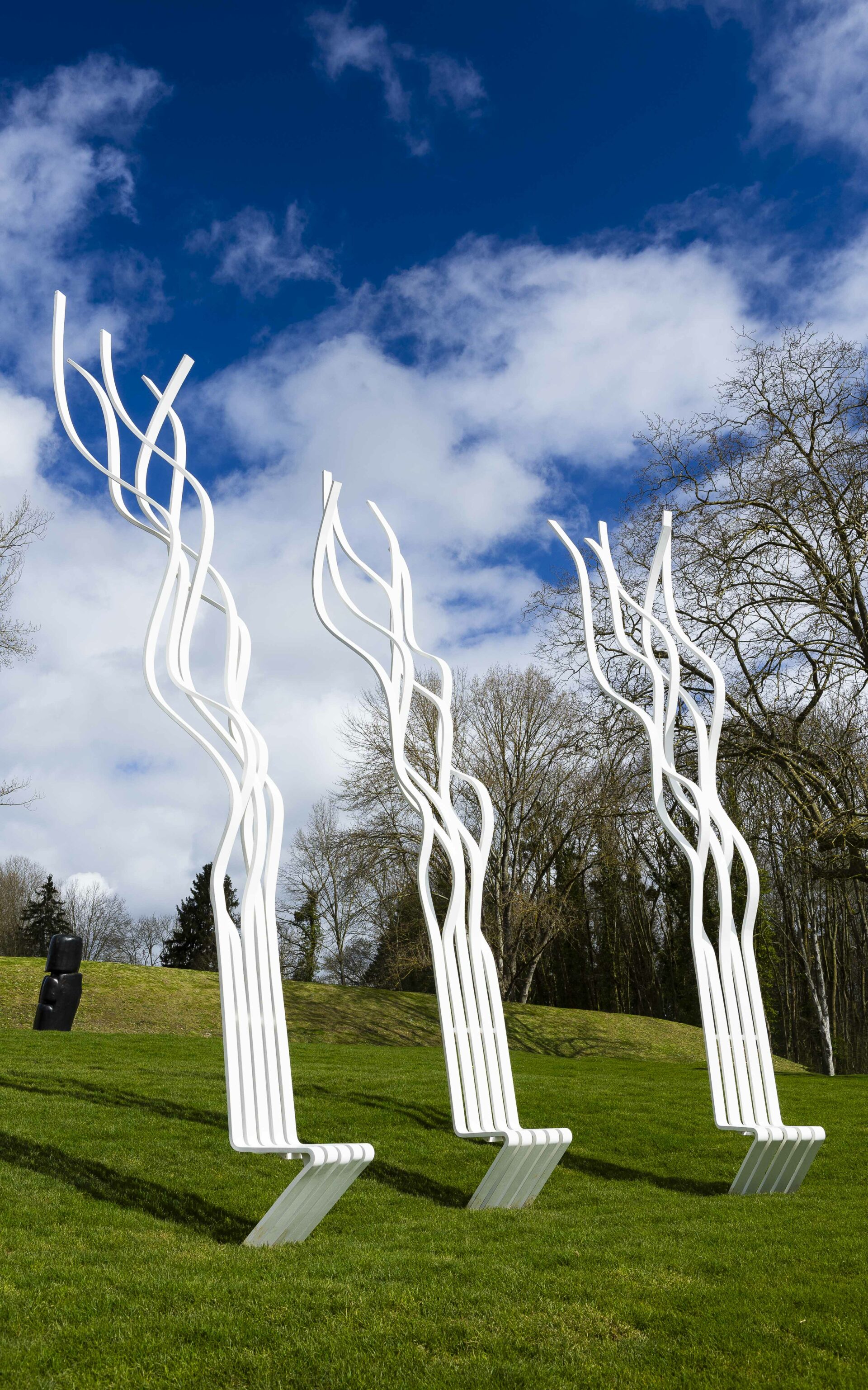 Xippas | Pablo Reinoso – Hangar Y