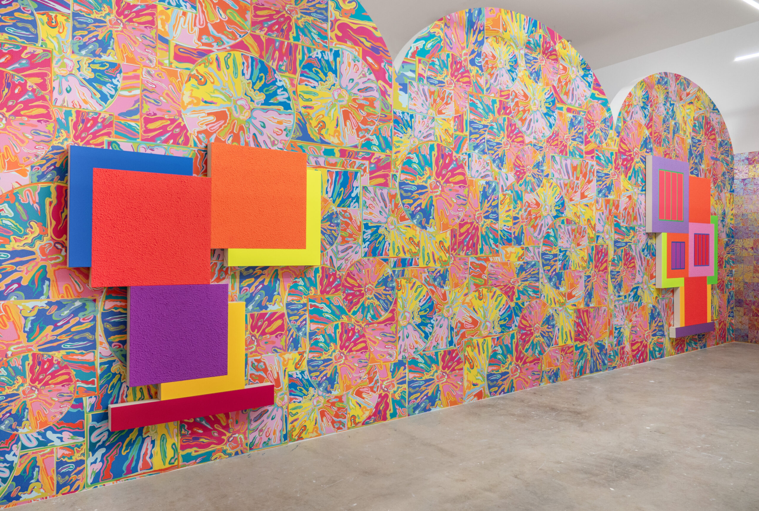 Xippas | Peter Halley NSU Art Museum